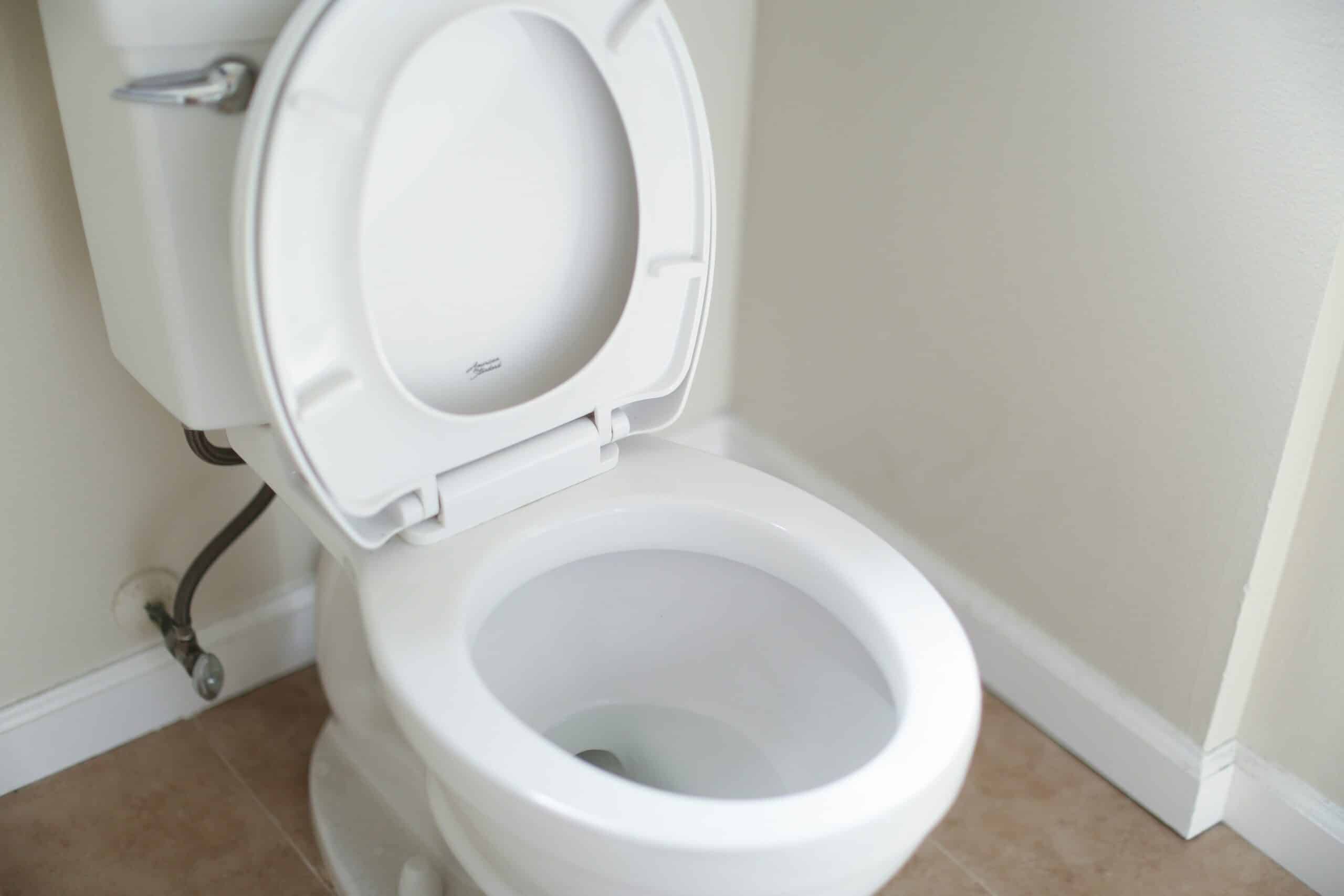 How To Unblock a Toilet | Precise Drainage Solutions